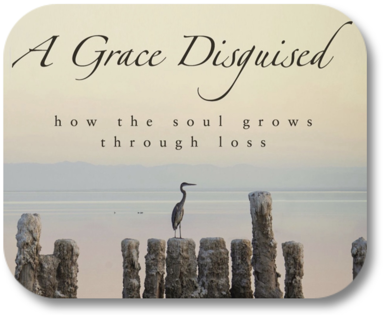 A Grace Disguised – Hidden in Plain Sight