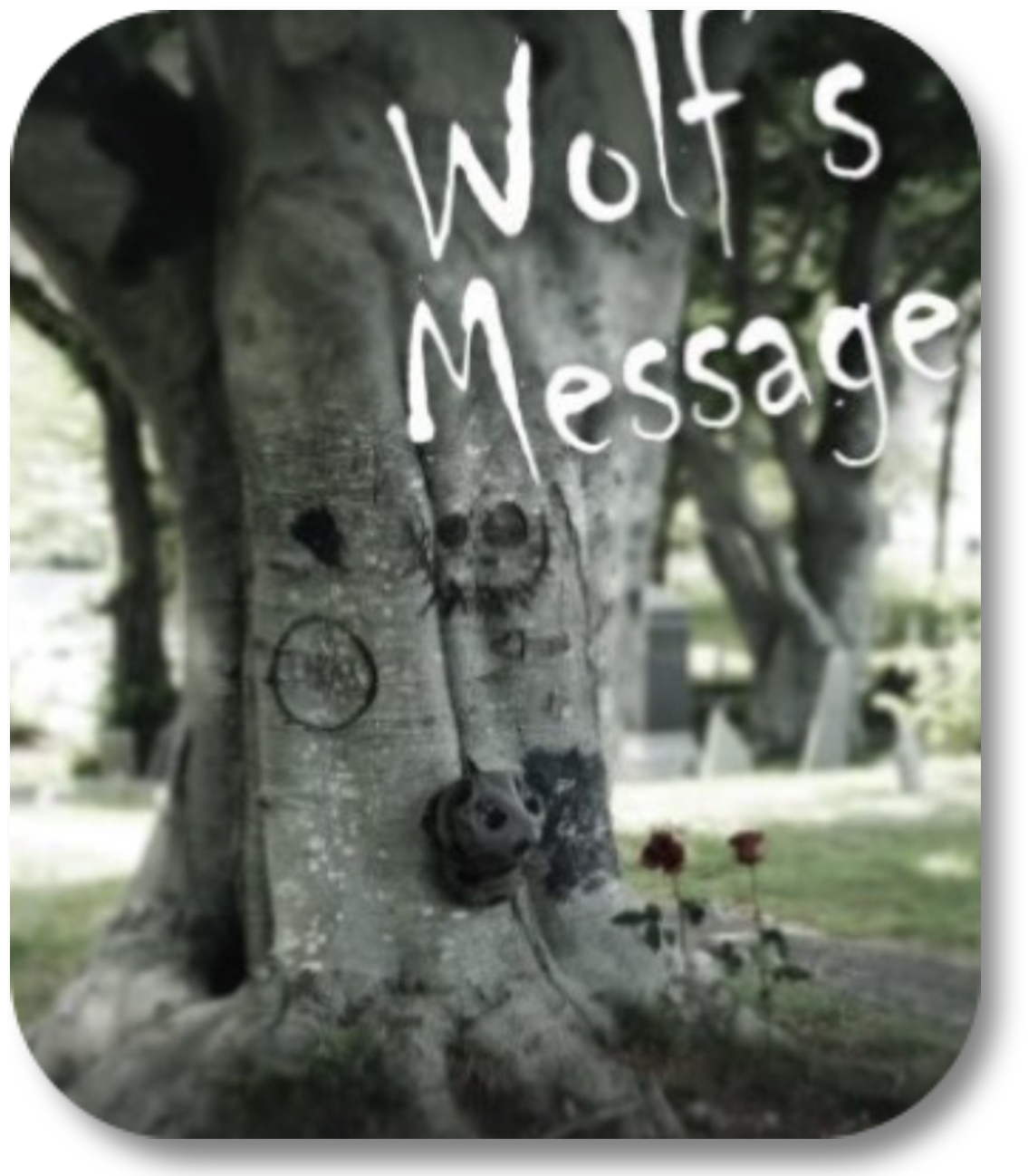 Wolf’s Message – Hidden in Plain Sight